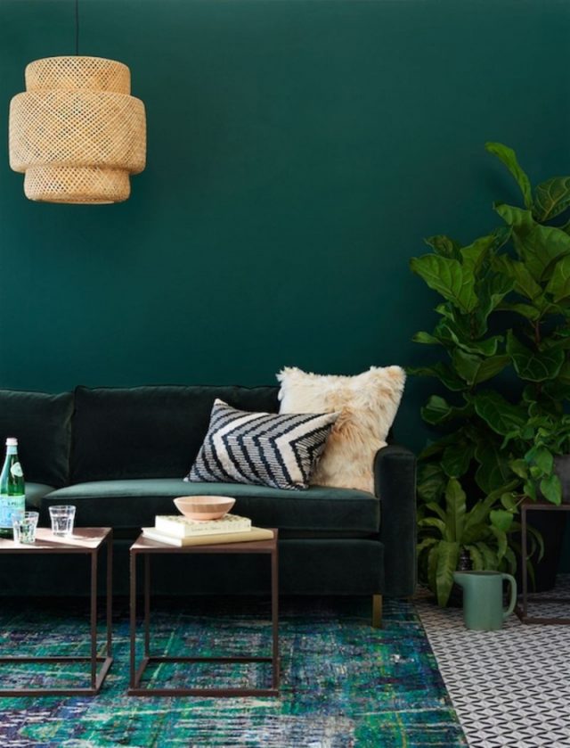 Interior Color Trends -Best Shades of Green Wall Paint