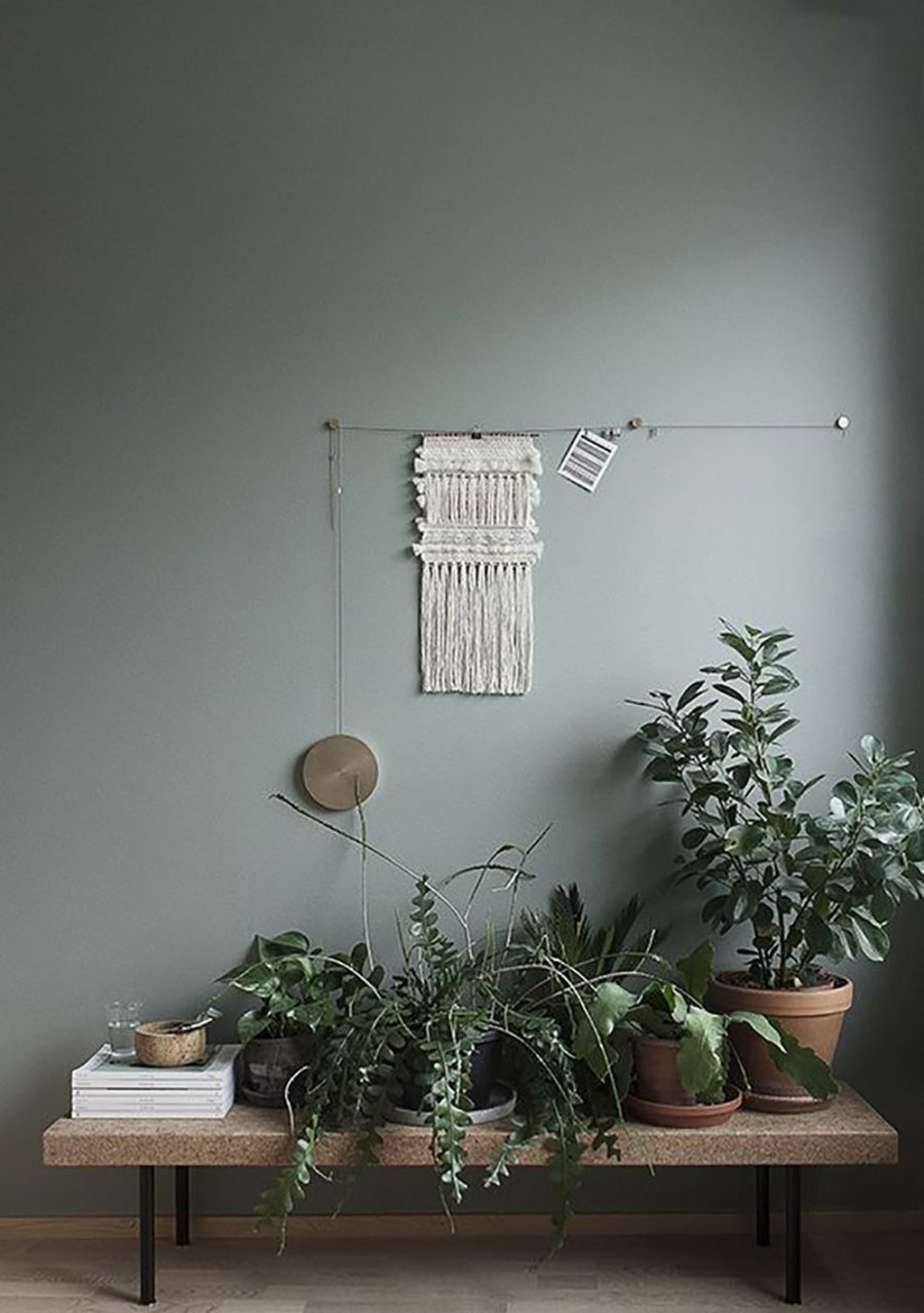 Interior Color Trends -Best Shades of Green Wall Paint