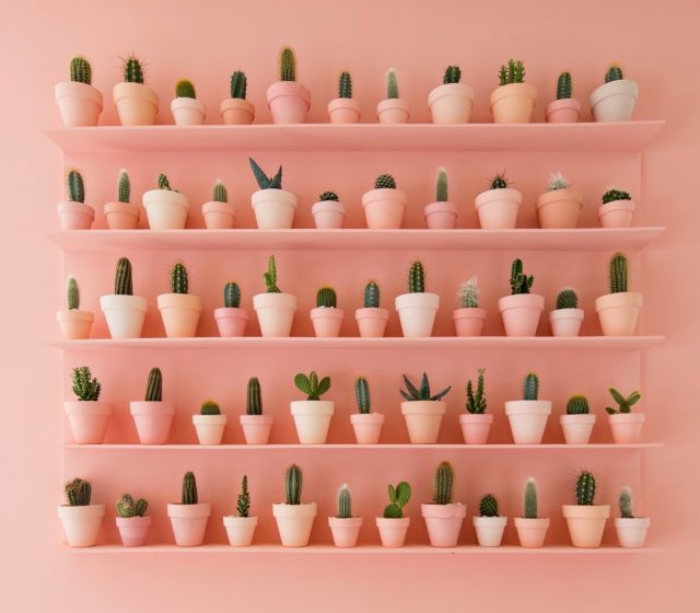 10 pinterest interior design trends set to blow up in 2019 | TrendBook ...